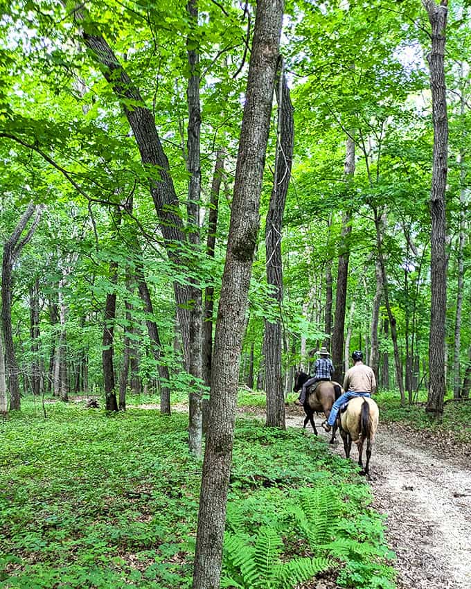 Horseback riding trails wind through forests and meadows, offering a historically authentic way to explore the park's diverse landscapes.