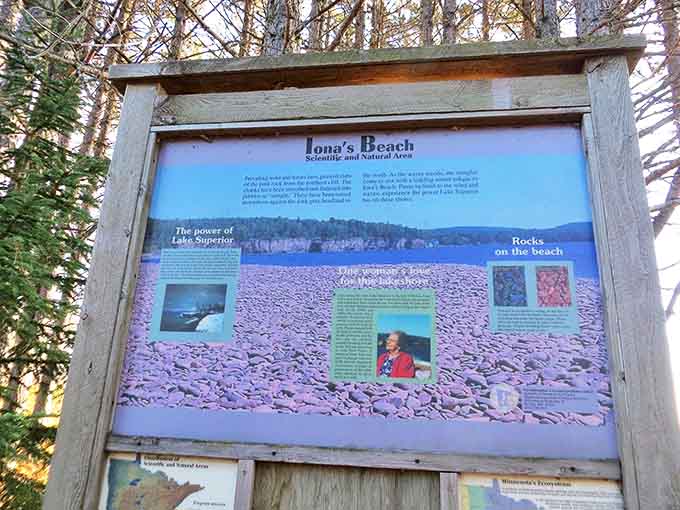 The interpretive sign reveals the billion-year backstory of how volcanic remnants became nature's own wind chimes.