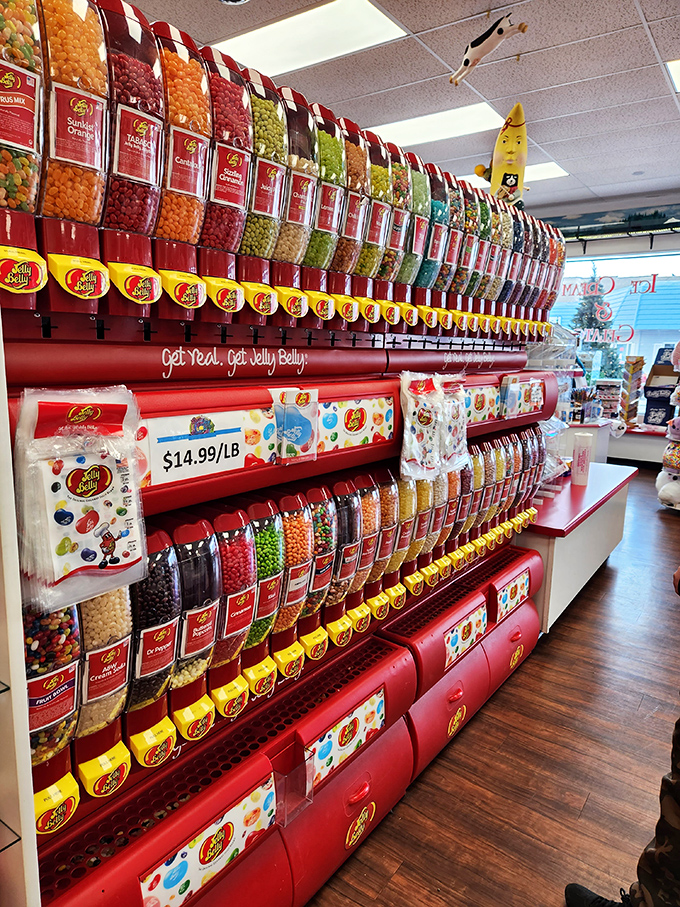 The Jelly Belly wall &ndash; where indecision becomes an art form and "just one more flavor" becomes your personal mantra.