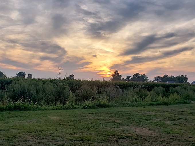 Illinois farmland stretches to meet the horizon, a patchwork quilt of crops tended by both modern machinery and horse-drawn plows.