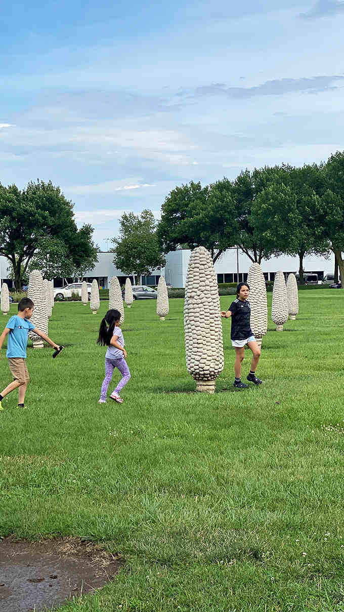 Children discover the joy of playing hide-and-seek among giant corn ears, turning this art installation into an unexpected playground of imagination.