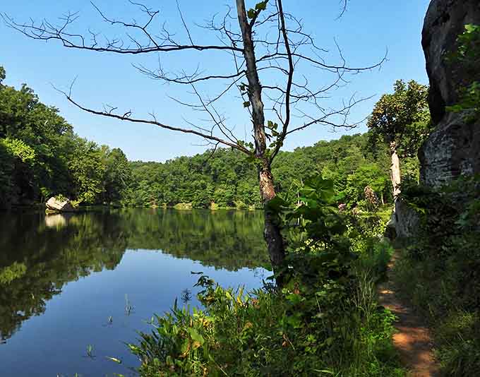That lone tree standing sentinel over still waters tells stories of seasons past to anyone patient enough to listen.