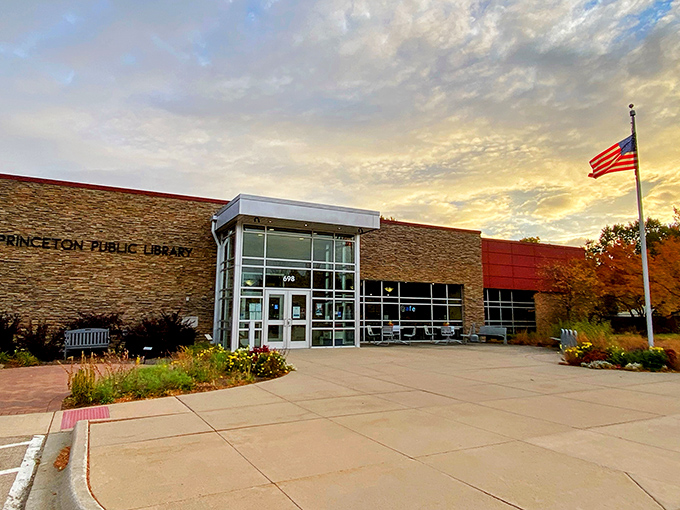 Princeton Public Library &ndash; proof that not all binge-worthy content requires a streaming subscription.