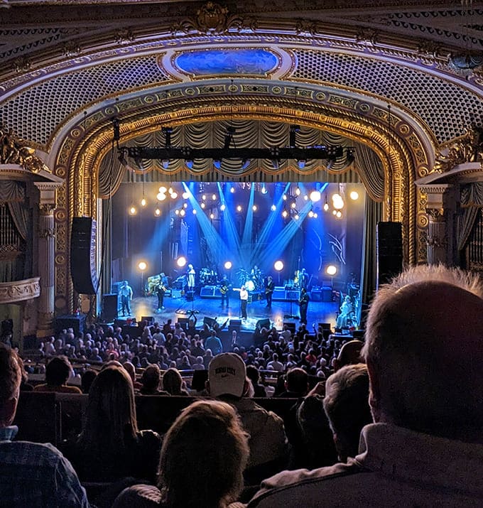 The energy of a live concert in this historic space creates magic that no digital experience could ever replicate.