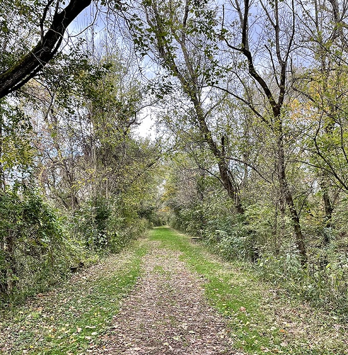 Milan Towpath MetroPark's tree-lined corridor whispers stories of canal boats and commerce while offering peaceful nature walks.