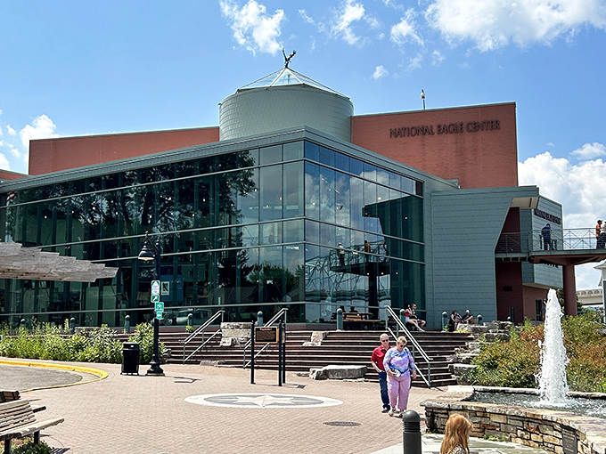 The National Eagle Center's modern architecture creates a striking riverside silhouette, where America's national bird receives the royal treatment it deserves.