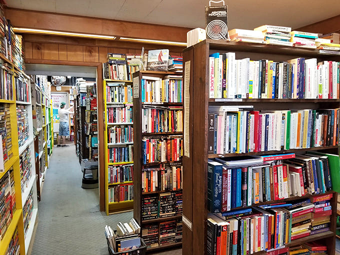 Every aisle offers a new adventure, like choosing your own literary path through a forest of stories and possibilities.