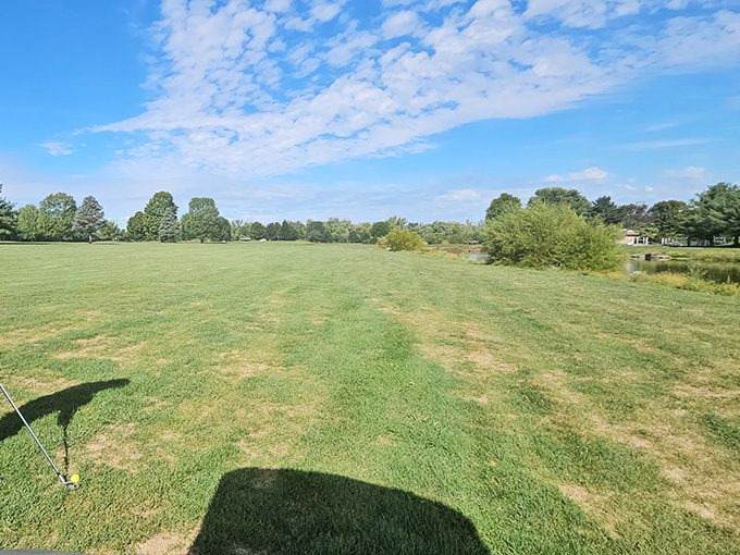 Wide open green spaces invite impromptu picnics, frisbee games, or simply cloud-watching &ndash; the kind of simple pleasures often forgotten in our digital age.