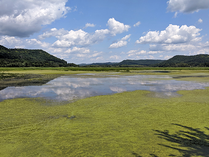 Nature paints with a broad brush where Mississippi backwaters mirror perfect skies &ndash; no filter needed here.