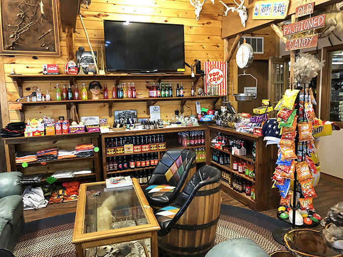 Sweet nostalgia flows from these shelves, where forgotten sodas and candies transport visitors to childhood afternoons spent counting pennies for treats.
