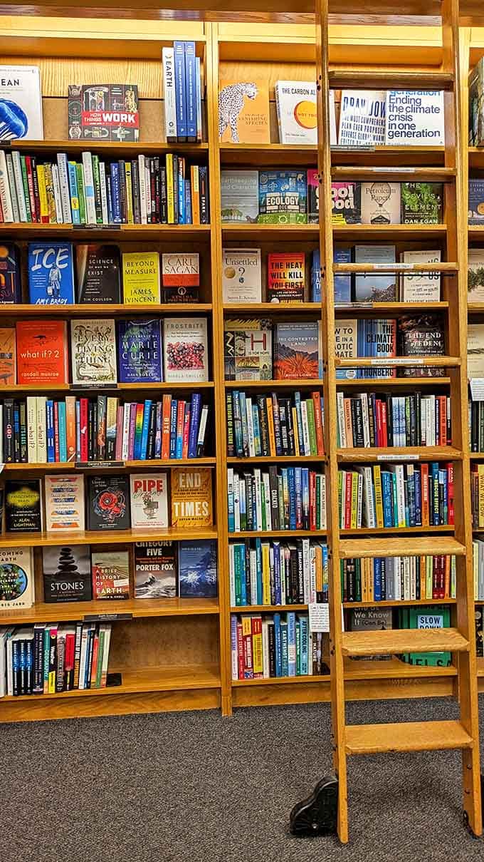 Tall wooden bookshelves with a classic library ladder invite exploration of science and nature titles on every imaginable topic.