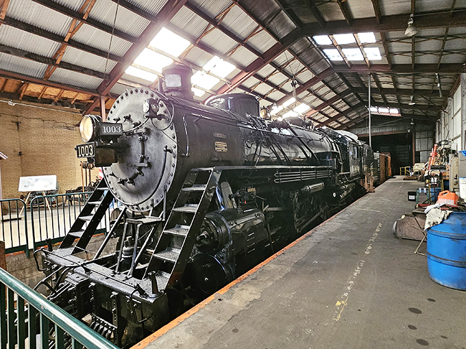 The mighty Soo Line 1003 steam locomotive dwarfs its automotive cousins &ndash; this 1913 iron giant still occasionally rumbles to life for special excursions.
