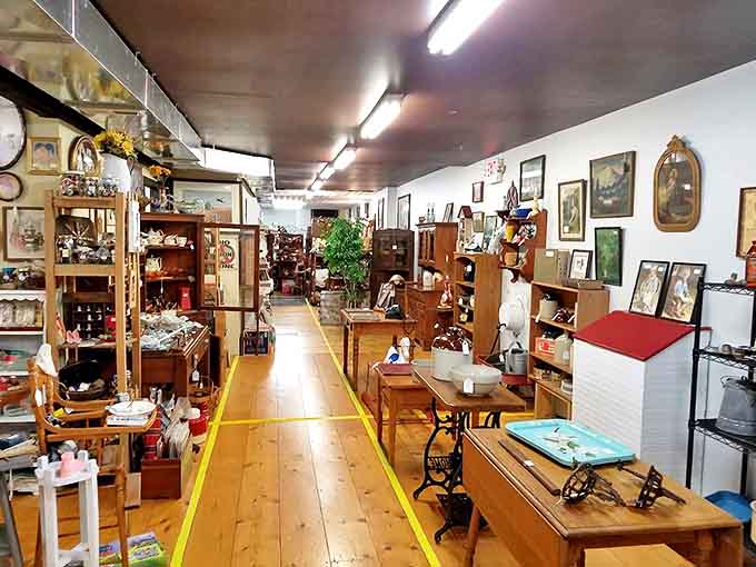 Follow the yellow-lined path through history, where wooden floors creak with anticipation and every aisle promises new discoveries.