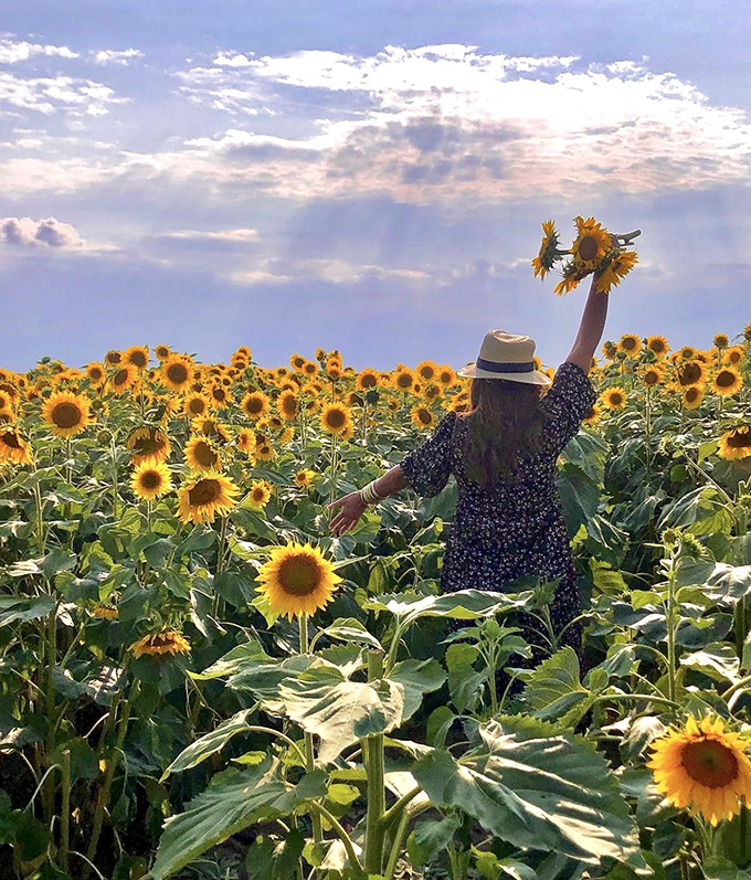 Pure joy captured: A visitor reaches skyward, sunflowers in hand, celebrating the simple pleasure of being surrounded by natural beauty.