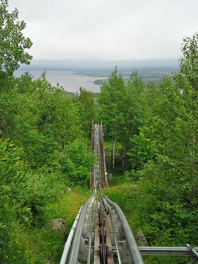 Looking down the mountain reveals the coaster's dramatic descent, where gravity becomes your playful companion on this wild forest journey.