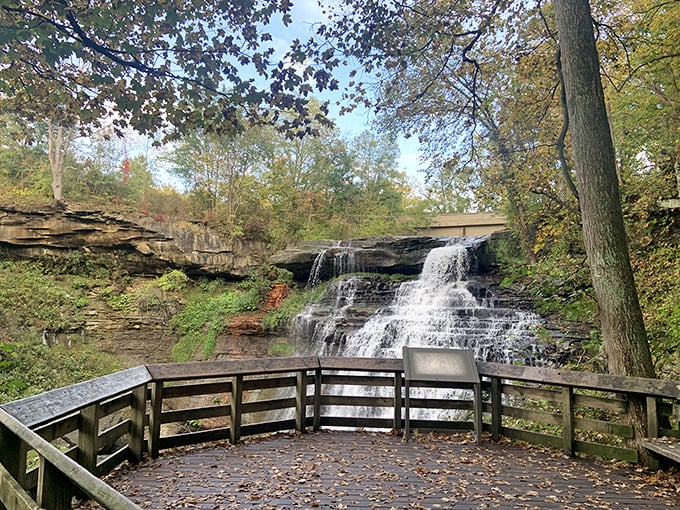 Fall's golden palette transforms the waterfall viewing platform into nature's perfect observation deck for leaf-peeping enthusiasts.