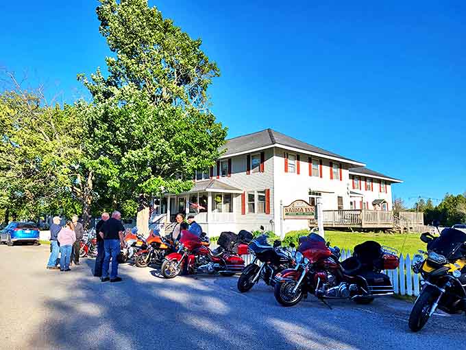 Sunlight filters through the towers, creating a magical atmosphere where imagination runs wild and adventures await.