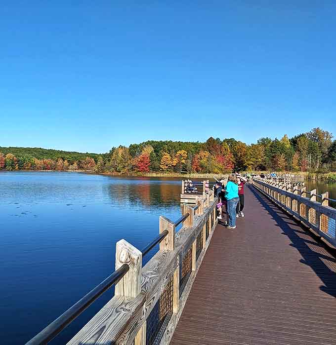 Weekend strollers enjoying nature's catwalk &ndash; this boardwalk offers better views than front row at Fashion Week, minus the attitude.