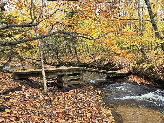 This weathered wooden bridge invites adventurers deeper into Pictured Rocks' wilderness, where each step reveals new wonders beyond the beaten path.