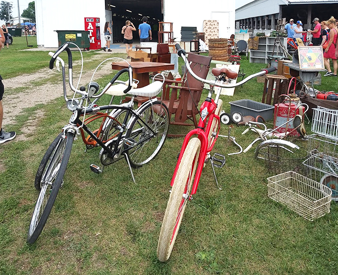 Classic bicycles waiting for their second act, chrome still gleaming despite the decades.