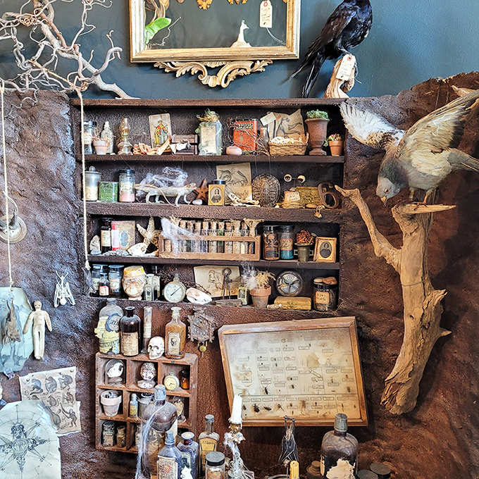 Apothecary dreams come alive with vintage bottles and anatomical curiosities &ndash; like stepping into a mad scientist's laboratory from another century.