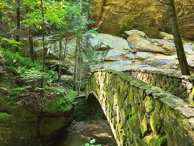 This moss-covered stone bridge looks like something hobbits would build – Middle-earth architecture in the heart of Ohio.