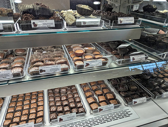 Chocolate heaven exists, and it's behind this glass. Each piece handcrafted with techniques perfected over generations.