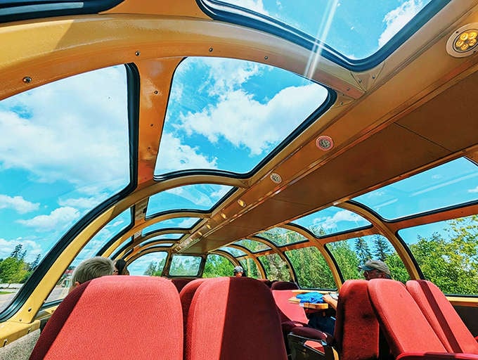 Sunlight streams through the curved glass ceiling, creating a cathedral-like atmosphere in the train's most coveted seating area.