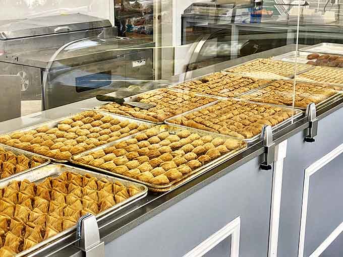 The display case: where diets go to die and food memories are born. Resistance is futile, surrender is delicious.