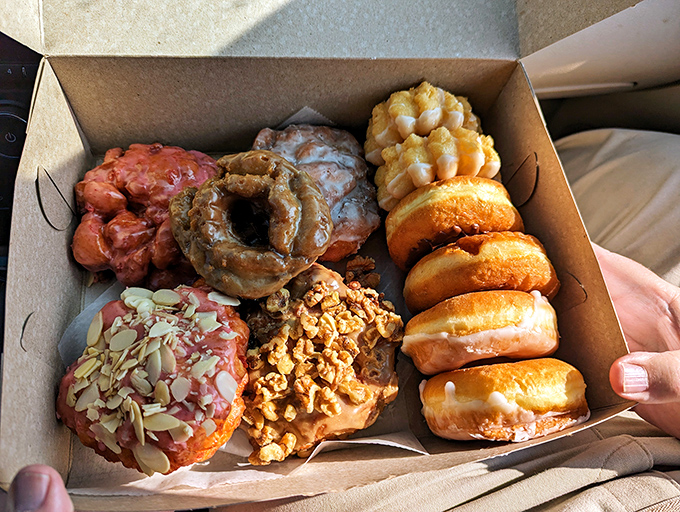 A box reveals the holy grail of donuts: perfectly glazed rings, golden crullers, and cake donuts that make supermarket versions weep with inadequacy.