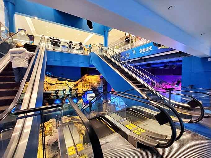 Modern architecture meets marine magic as escalators carry visitors between levels of this multi-story aquatic wonderland.
