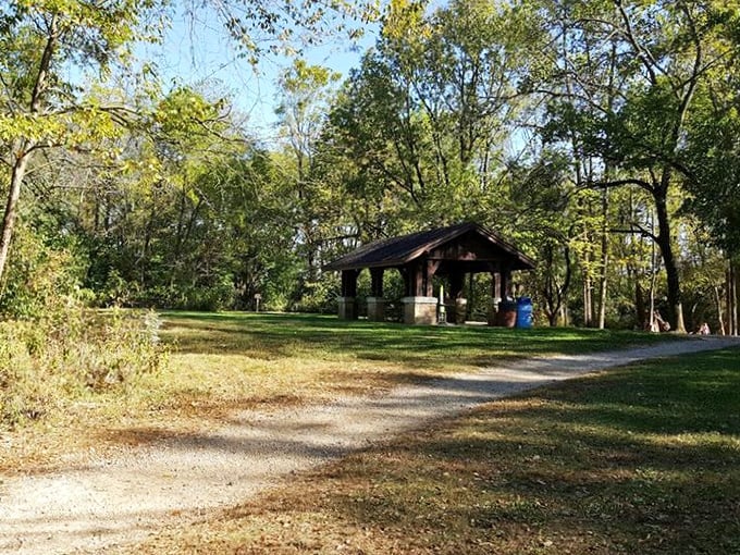 This rustic picnic shelter offers a perfect resting spot after exploring the trails – because even nature enthusiasts need somewhere to unwrap their sandwiches.