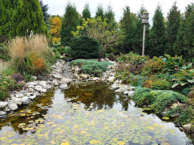 Water features bring zen-like tranquility to The Garden Door, where lily pads float like nature's dinner plates waiting for frog customers.