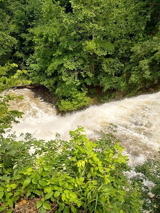 After heavy rains, Mill Creek transforms from gentle cascade to thundering torrent, showing nature's dramatic mood swings.