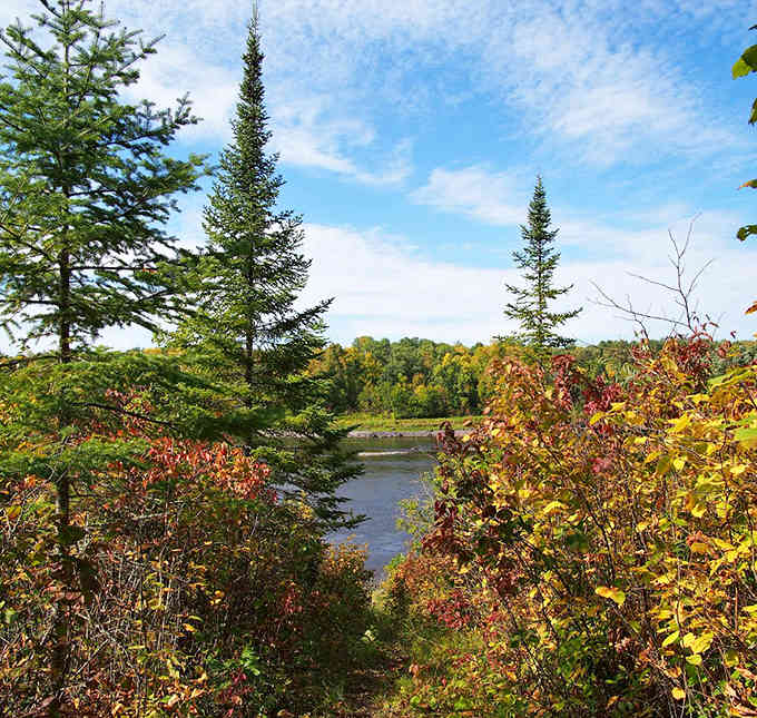 Fall's fiery palette transforms Franz Jevne's landscape into a painter's dream, where every view competes to be your favorite.