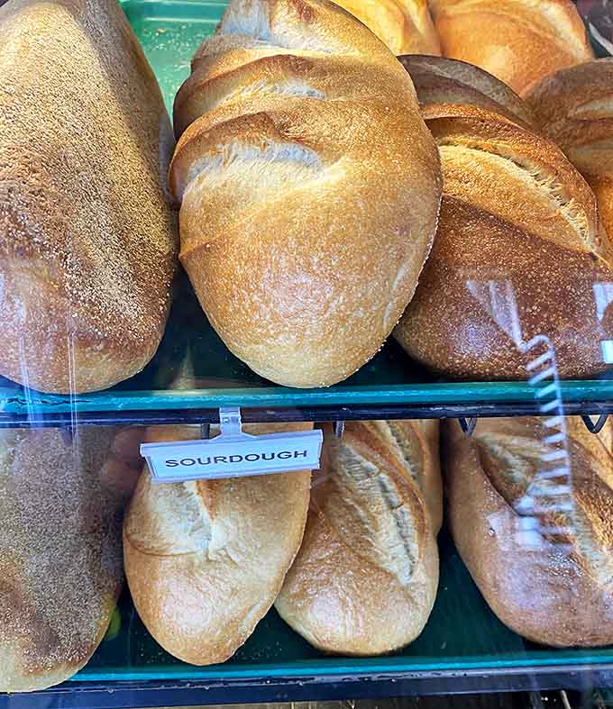Golden sourdough loaves with perfectly crackling crusts stand ready to elevate your sandwich game to legendary status.