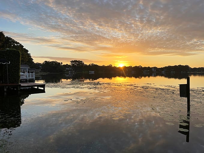 Golden hour magic: The setting sun transforms Winter Park's waters into liquid gold, creating a moment worth savoring.