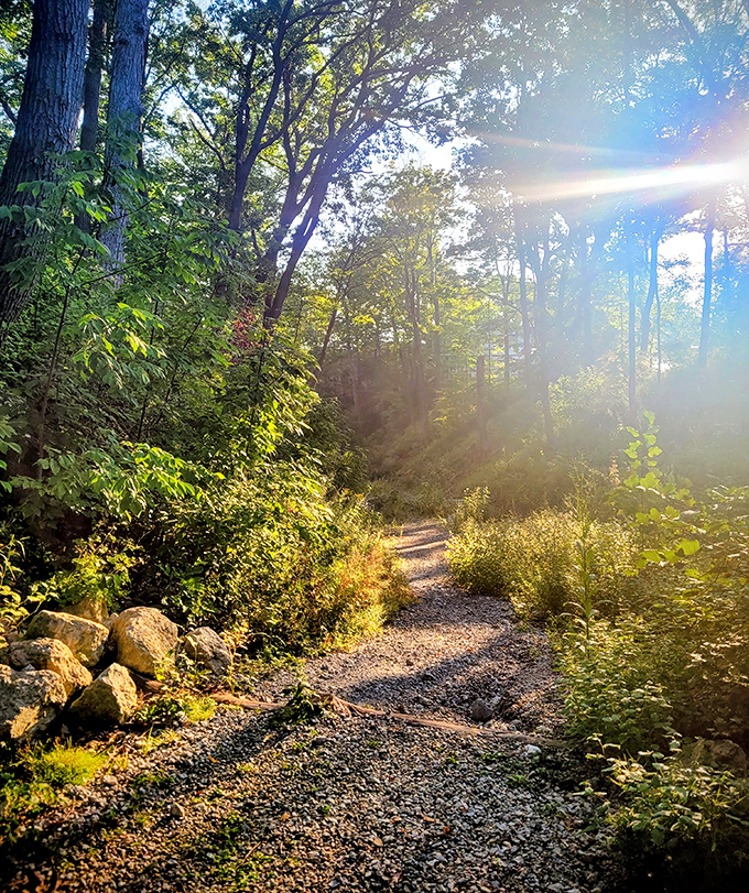 Sunlight dapples this winding trail, inviting explorers to discover what lies around each bend. The journey itself becomes the destination on these scenic pathways.
