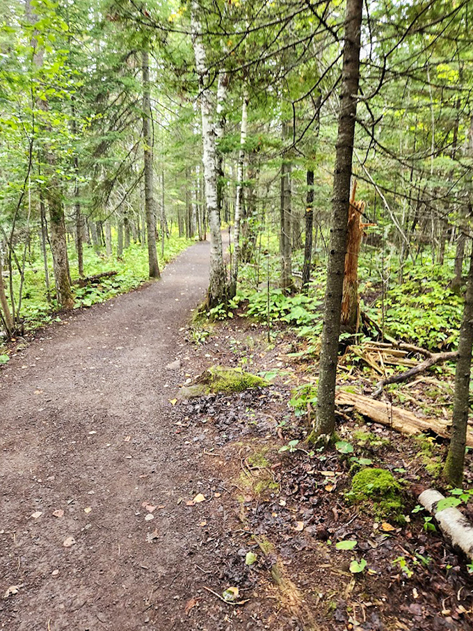 Trail: Winding through northern Minnesota's pine forest, this path offers glimpses of wildlife and seasonal wildflowers en route to the kettle.