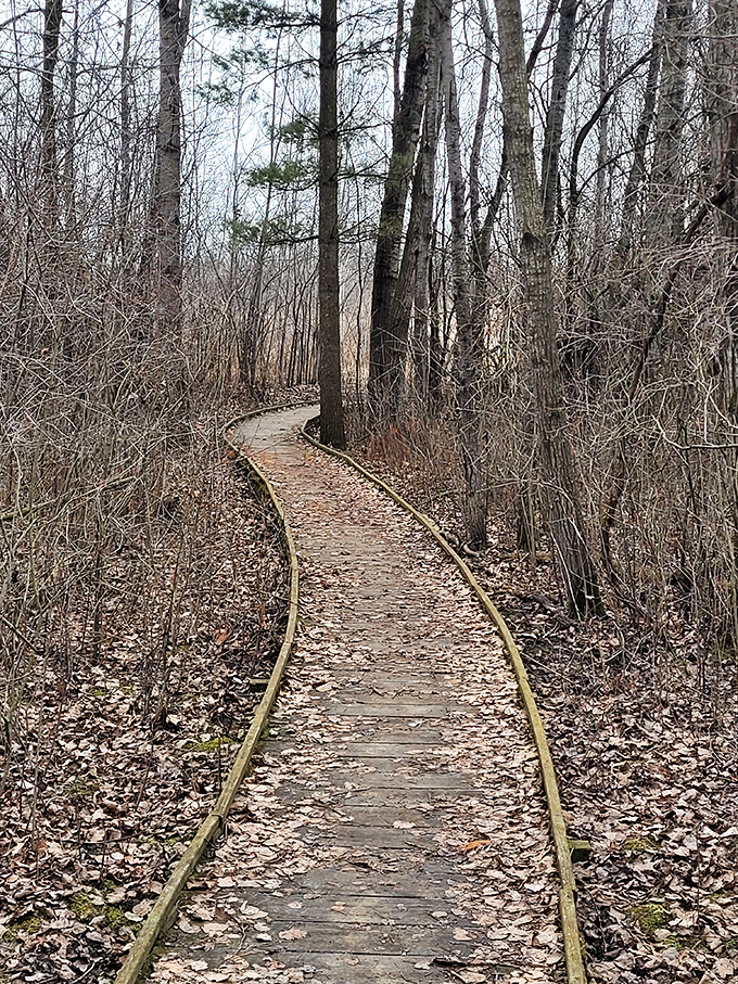 The path less traveled beckons through winter's quiet embrace – nature's invitation to wander and wonder.