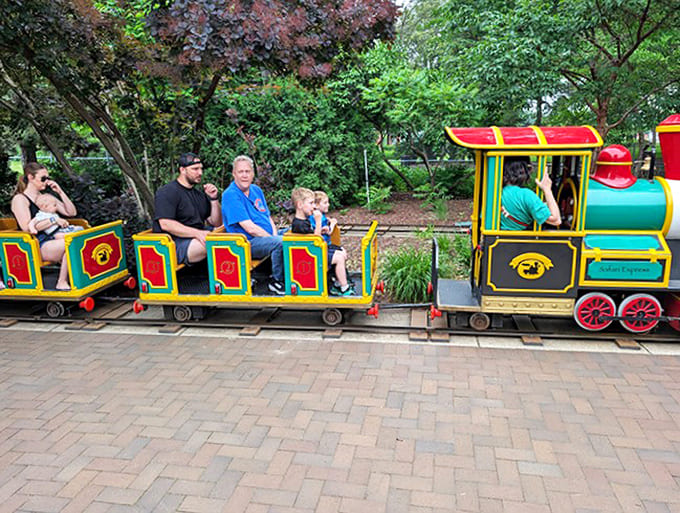 All aboard! The colorful train chugs through the park, giving tired little legs a rest while the adventure continues rolling along.