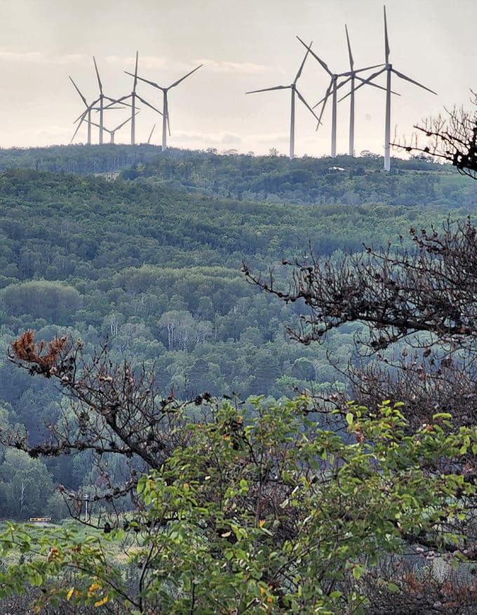 Modern windmills dot the distant landscape, gentle giants turning lazily against the backdrop of endless forest and sky.