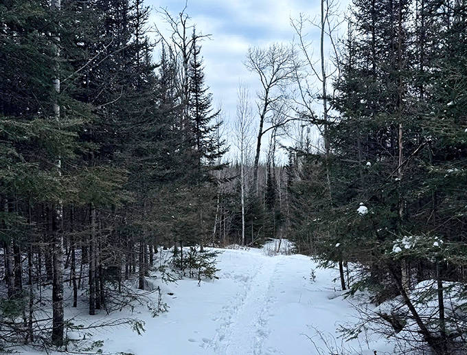 Winter transforms the trail into a hushed wonderland where your footprints might be the only ones breaking fresh powder.