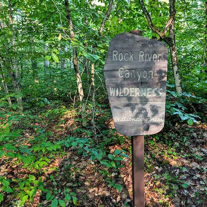 The weathered sign stands sentinel at the wilderness boundary, like a portal promising adventure for those willing to step off the beaten path.