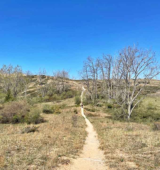 The path less traveled rewards hikers with breathtaking vistas that change with every step and season.