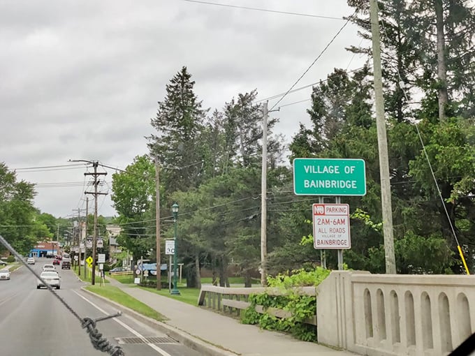 Village of Bainbridge welcomes visitors with a simple green sign, the gateway to a community where history and small-town life blend seamlessly.