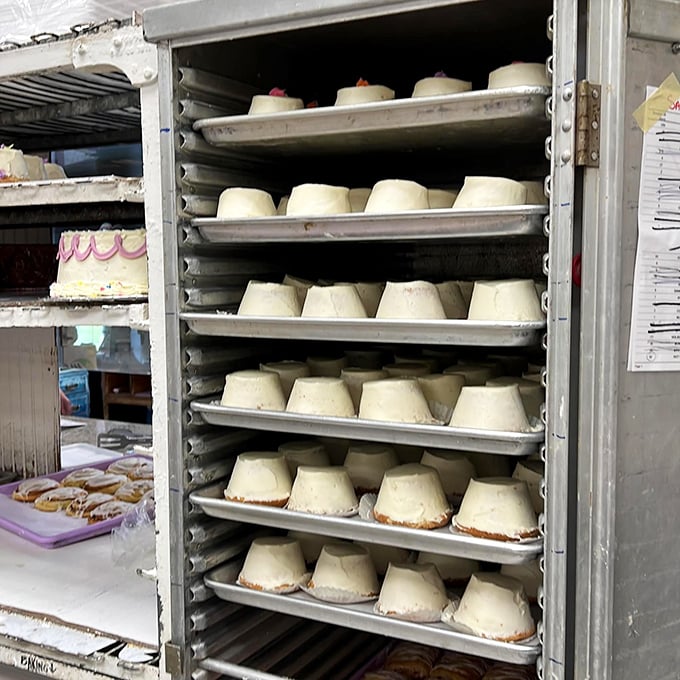 The production line of angel food perfection. Each tray holds tomorrow's memories, cooling patiently before meeting their destiny.