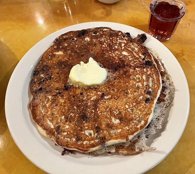 Blueberry buttermilk pancakes showcase nature's perfect breakfast fruit, suspended in fluffy batter and cooked to golden-brown perfection.