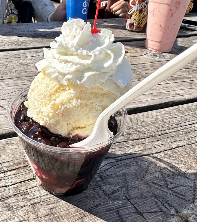 Blueberry perfection that makes you question why you'd ever waste calories on lesser desserts. That whipped cream mountain isn't just garnish&mdash;it's essential infrastructure.