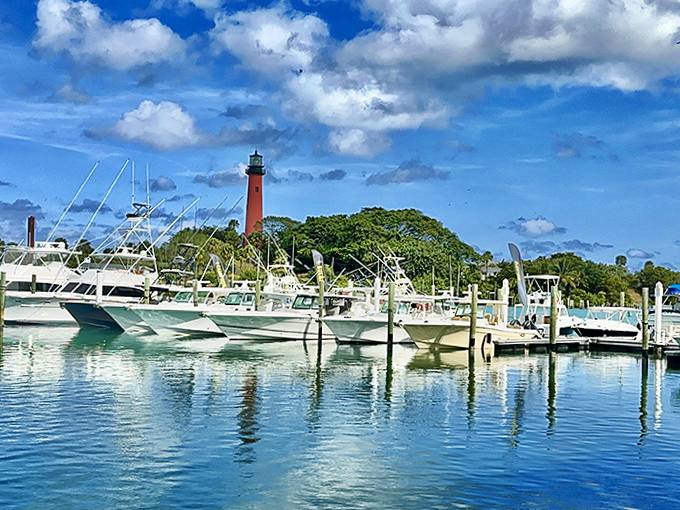 Vessels bob gently in the protected waters, the lighthouse standing guard like a parent watching over playing children.